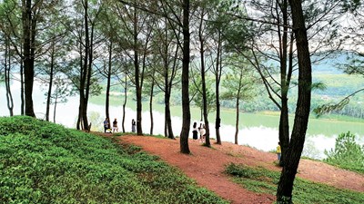 Phía những ngọn đồi