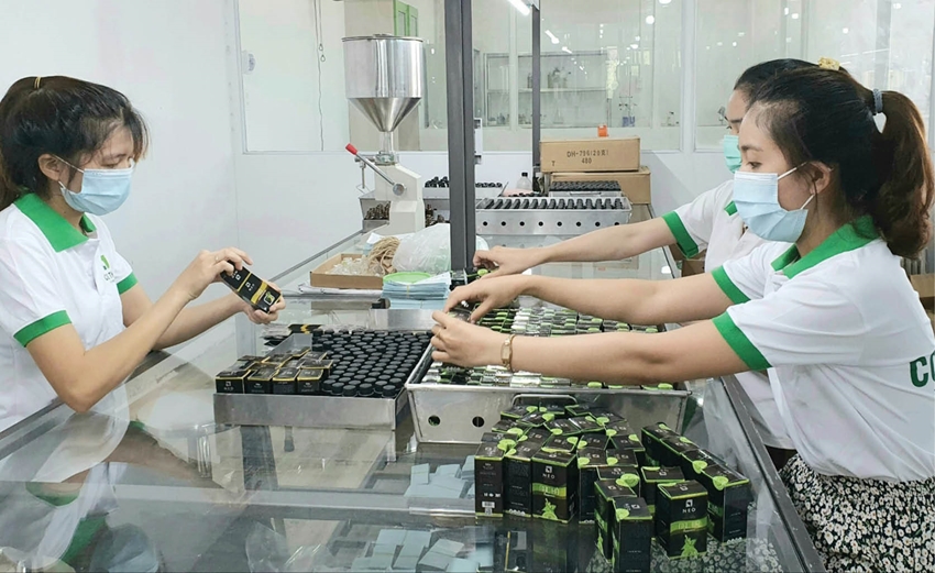 Phát triển kinh tế dược liệu ở Huế