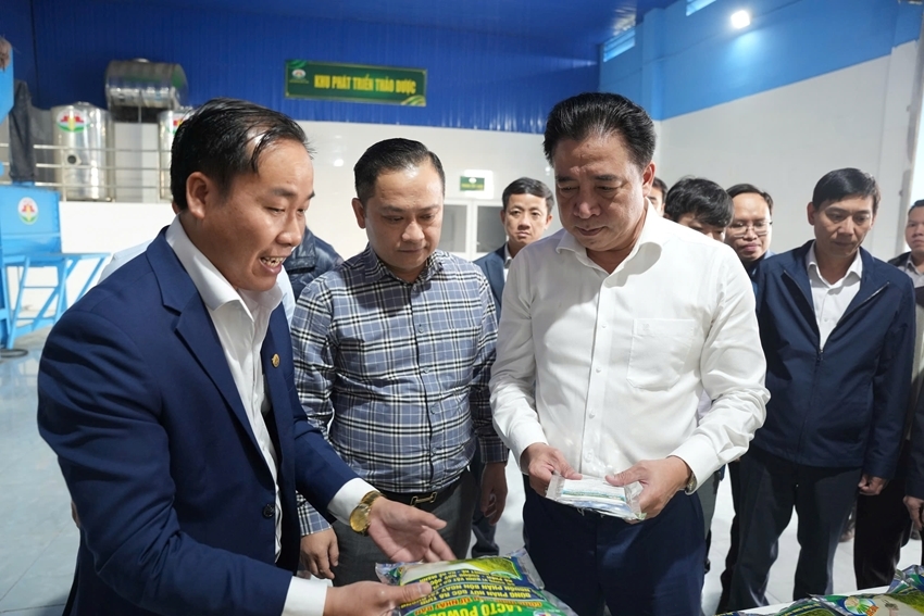 Leaders of the City People’s Committee conduct inspections of key ...