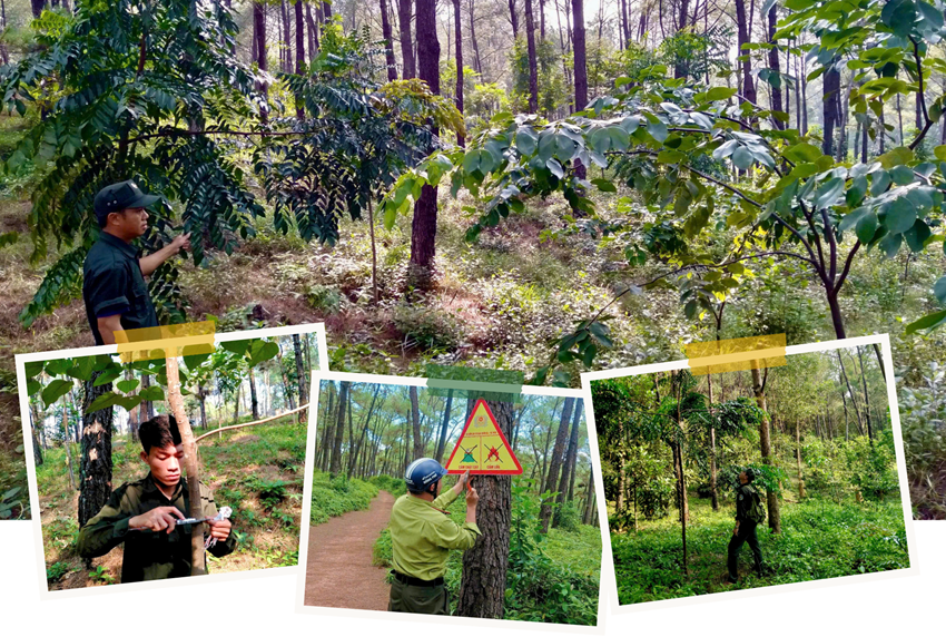 A tropical rainforest in the heart of the city