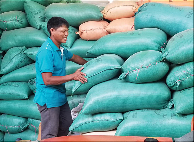 “Vua lúa” ở Hương Toàn