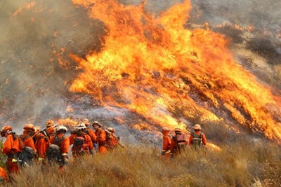 Mỹ: Nửa triệu người ở tiểu bang Oregon phải sơ tán vì cháy rừng