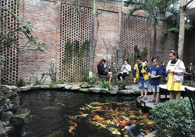 The Koi fish coffee shops - universally loved by people at all ages